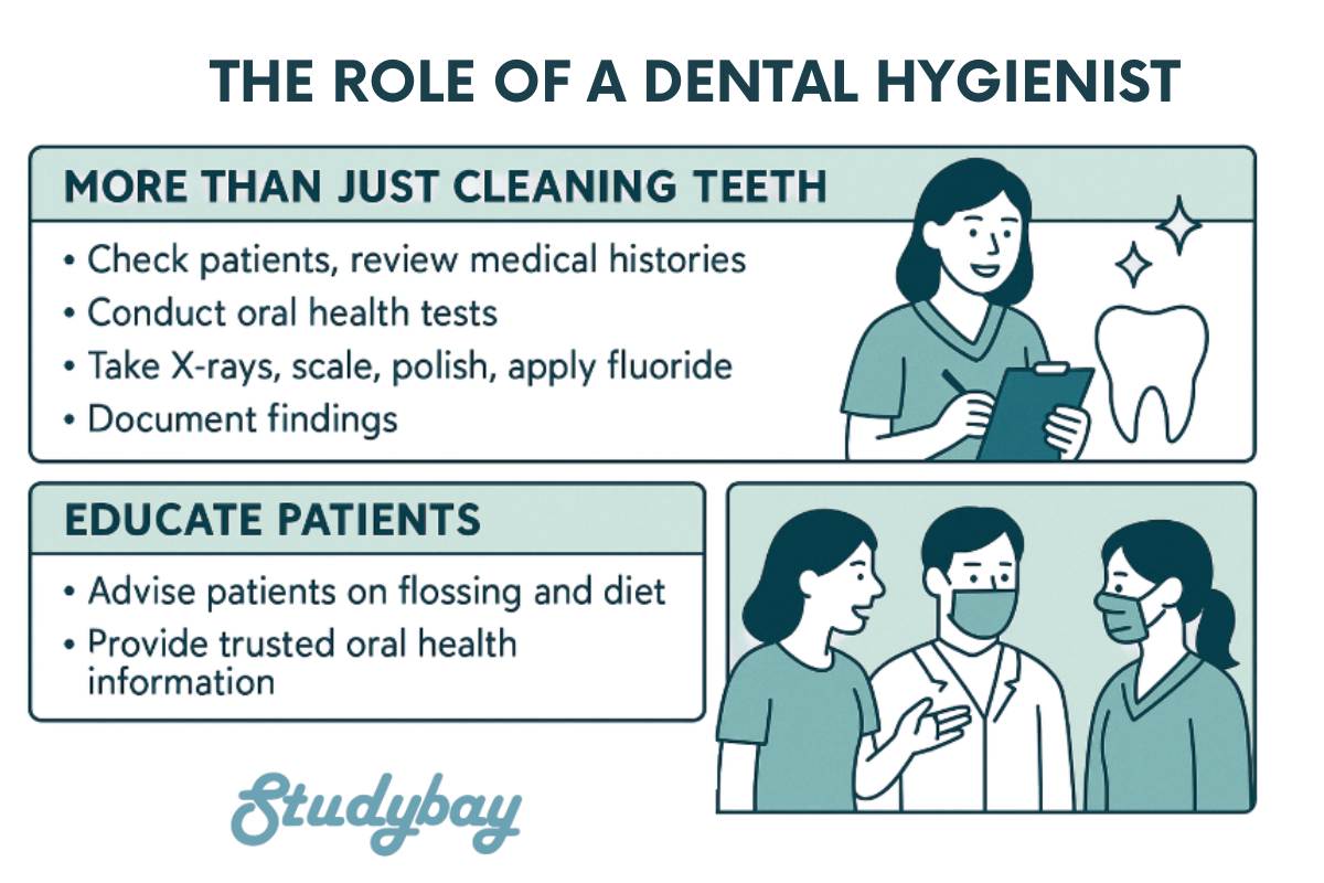 The Ultimate Guide to a Career in Dental Hygiene: Education, Licensure ...