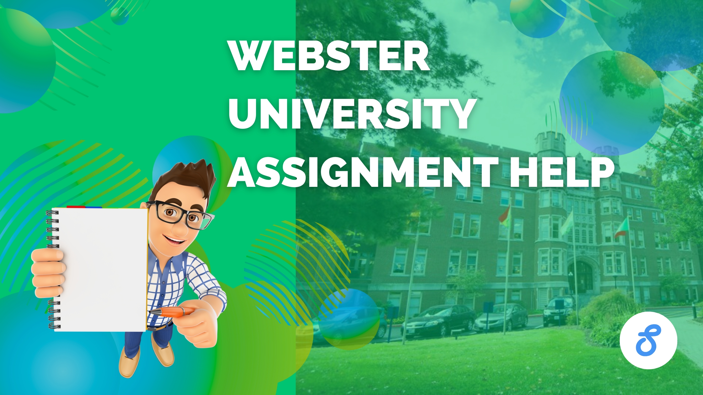 Webster University 🎓 Homework Help